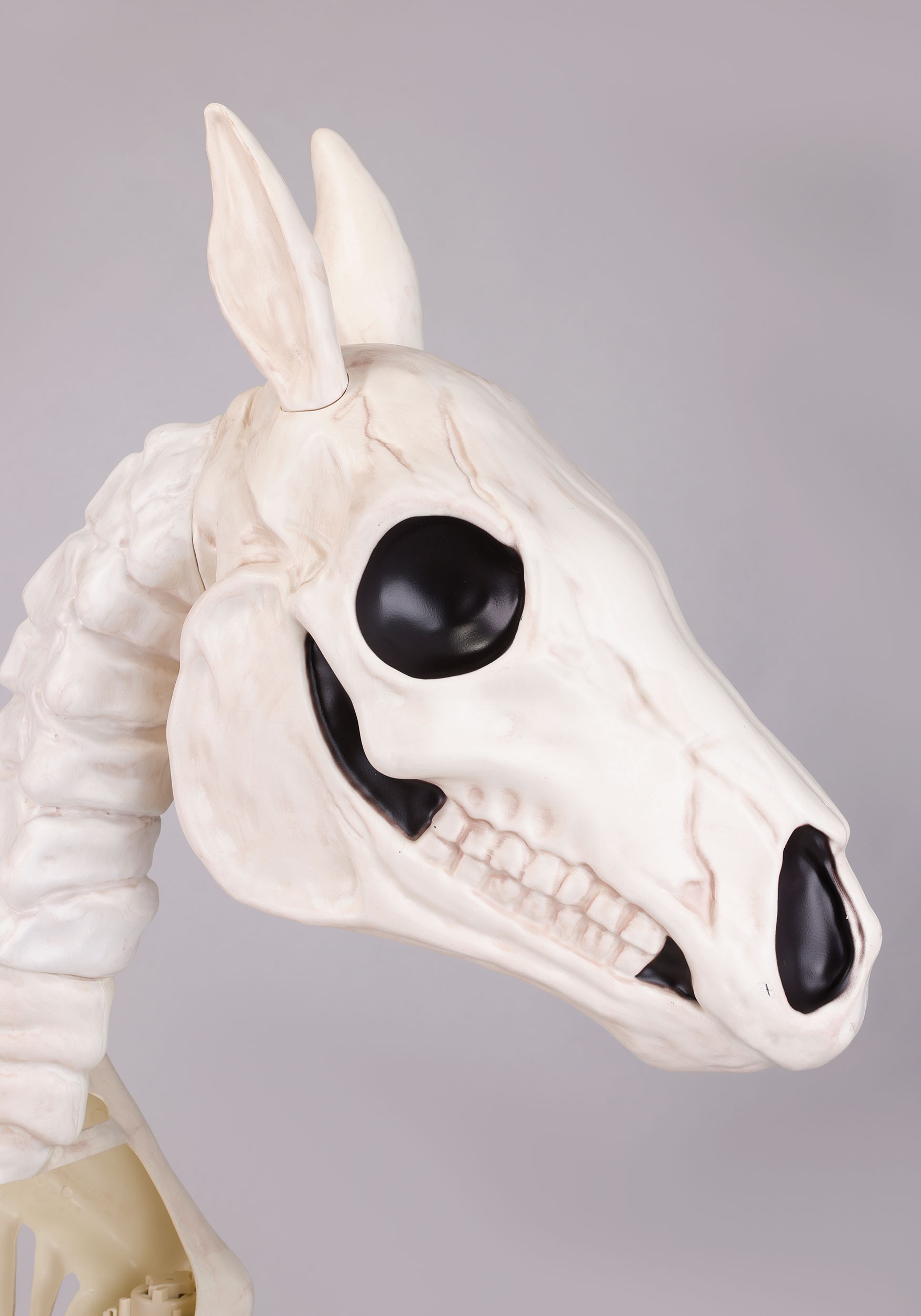 6FT Skeleton Horse Decoration | Scary Decorations
