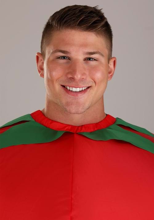 Inflatable Tomato Adult Costume | Food Costumes