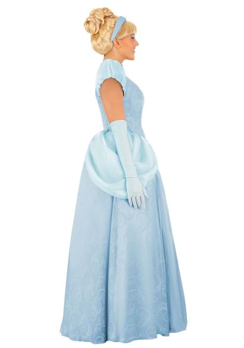 Womens Premium Cinderella Costume Disney Costumes