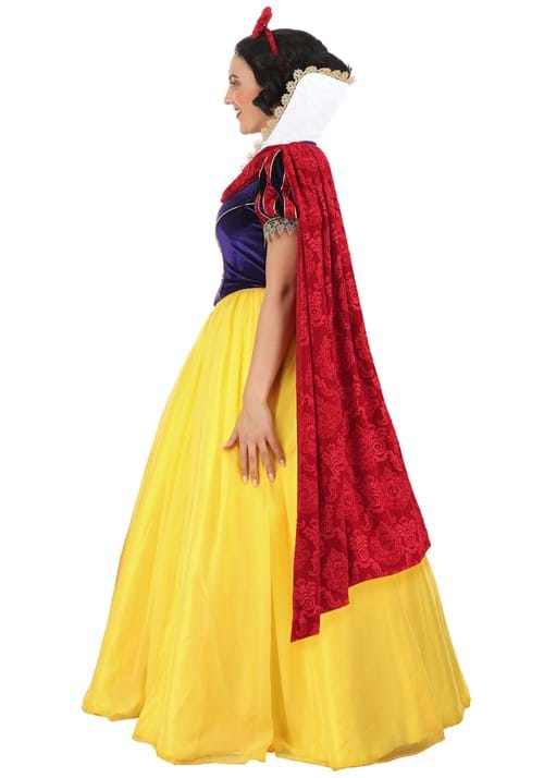 Premium Disney Snow White Womens Costume Disney Costumes