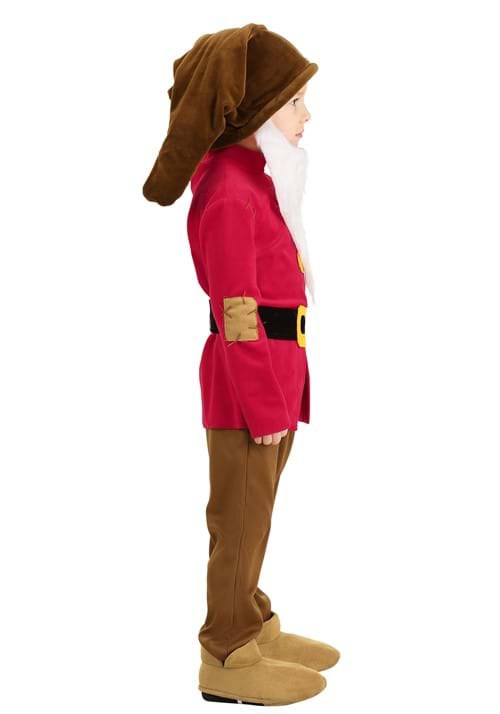 Disney Grumpy Dwarf Toddler Costume