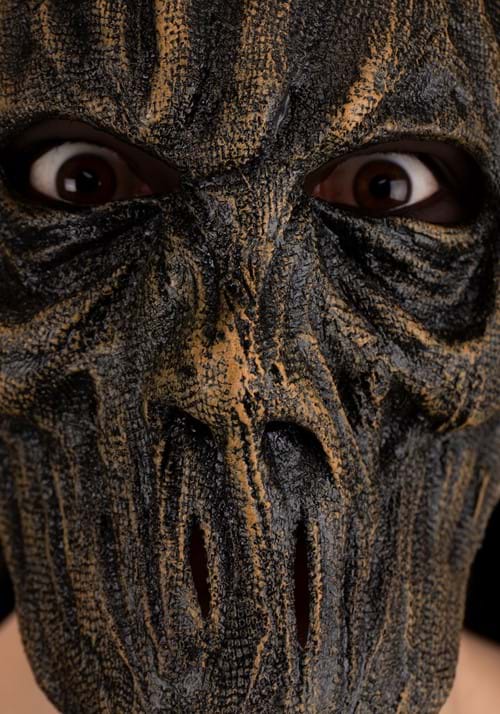 Scarecrow Adult Mask