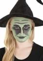 Wicked Witch Makeup Accessory Kit