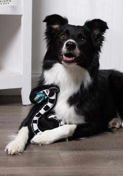 Beetlejuice Costumes