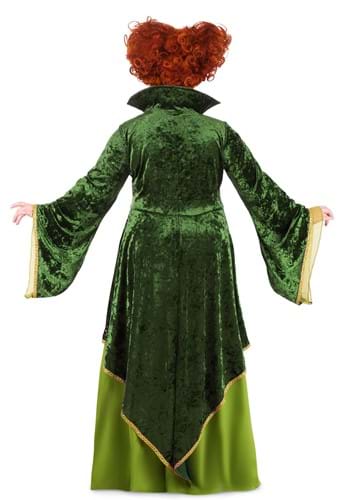 Plus Size Deluxe Disney Winifred Sanderson Womens Costume