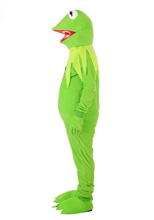 Disney Kermit the Frog Adult Costume | Disney Costumes