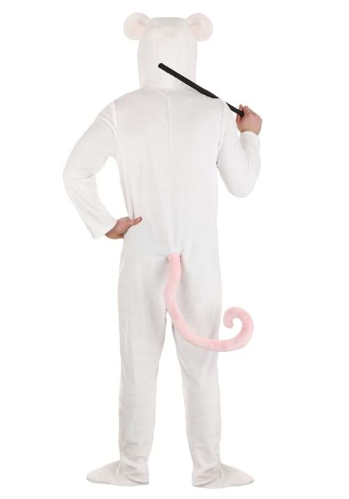 Nursery Rhyme Blind Mouse Adult Costume | Storybook Costumes