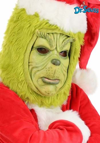 The Grinch Kid's Mask