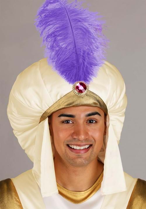 Disney Aladdin Men's Prince Ali Costume | Disney Costumes